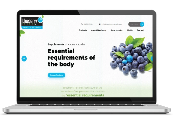 Blue Berry Naturals Case Study| DigitilizeWeb